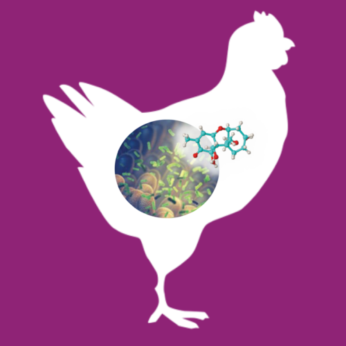 Myco news – MYCOKINGDOM